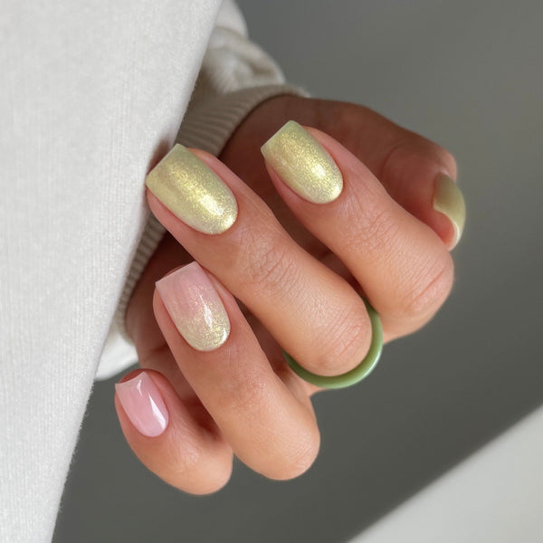 Gelinis lakas Exotic Eclectus parrot, Didier Lab– Didier Lab LT